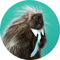 Term Life Insurance | Free Quote & 10 Minute Application | Quility